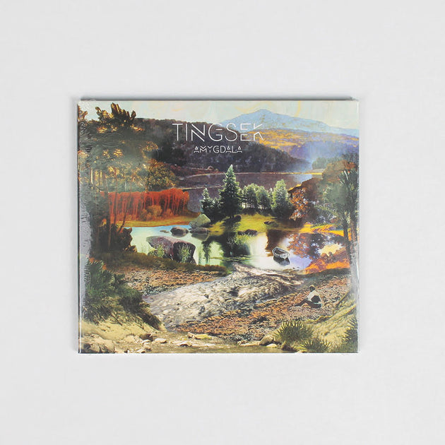 Tingsek Amygdala CD – Merchworld